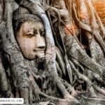 Temple Visits in Ayutthaya and a Walk Through History. - How the Tour Feels in Practice