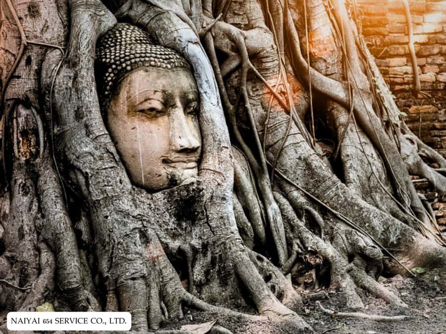 Temple Visits in Ayutthaya and a Walk Through History. - How the Tour Feels in Practice