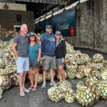 Tequila Experience History Flavor and Tradition - A Practical Look at the Tour Itself