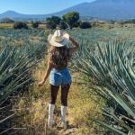 Tequila Express Tour from Guadalajara - What’s Included and What to Consider