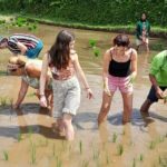 Tetebatu Countryside and Waterfall Day Tour - The Sum Up: Is It Worth It?