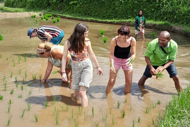 Tetebatu Countryside and Waterfall Day Tour - The Sum Up: Is It Worth It?