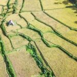 Tetebatu Day Tour: Waterfalls, Rice Fields & Local Life - Why This Tour Offers Real Value