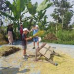 Tetebatu Panorama Walk: Rice Fields, Waterfall & Monkeys - Evaluating the Value