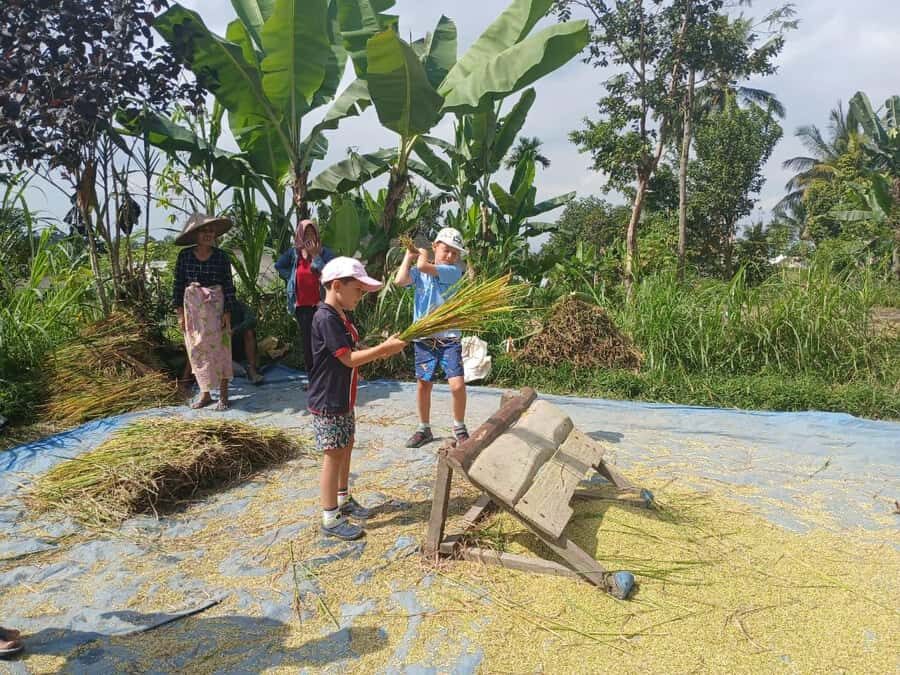 Tetebatu Panorama Walk: Rice Fields, Waterfall & Monkeys - Evaluating the Value