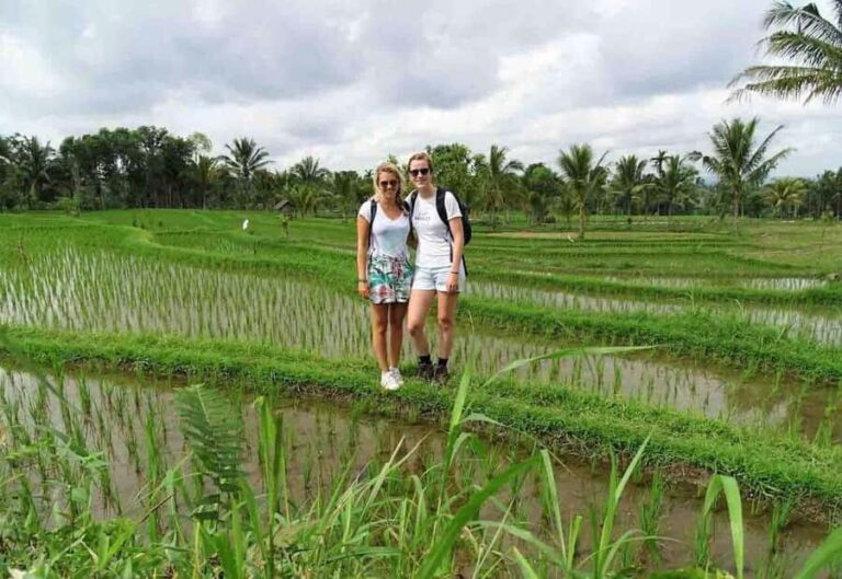 Tetebatu: Rice Fields, Villages, and Waterfalls Tour - Is It Worth the Price?