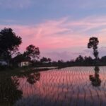 Tetebatu : Ricefield tour,waterfall and monkey forest - Practical Details & What to Expect