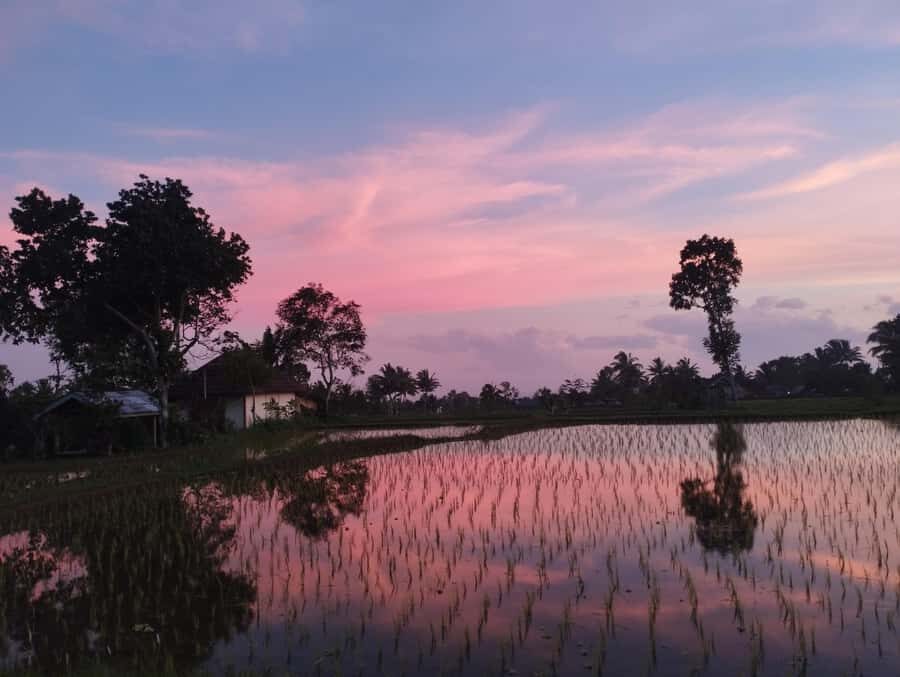 Tetebatu : Ricefield tour,waterfall and monkey forest - Practical Details & What to Expect