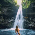 Tetebatu : Walk on Rice Terrace, Waterfall and Black Mongky - The Itinerary: What to Expect