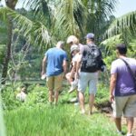 Tetebatu Walking Tour - Rice Terraces, Waterfall & Monkey Forest - The Value of This Tour