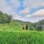 Tetebatu : Waterfall, Rice Fields & Monkey Forest Full day - The Balance of Long Travel and Reward