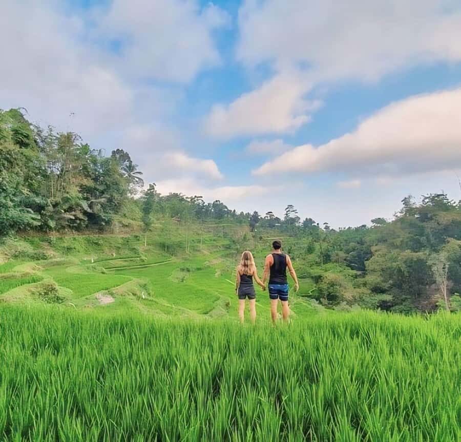 Tetebatu : Waterfall, Rice Fields & Monkey Forest Full day - The Balance of Long Travel and Reward