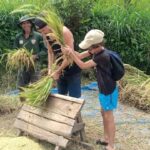 Tetebatu: Waterfalls, Spices, Rice Terrace, Monkey forest - The Practicalities: Transport, Duration, and Value