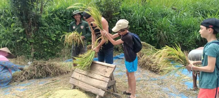 Tetebatu: Waterfalls, Spices, Rice Terrace, Monkey forest - The Practicalities: Transport, Duration, and Value