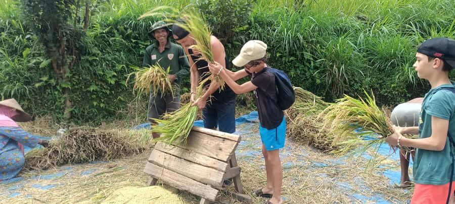 Tetebatu: Waterfalls, Spices, Rice Terrace, Monkey forest - The Practicalities: Transport, Duration, and Value