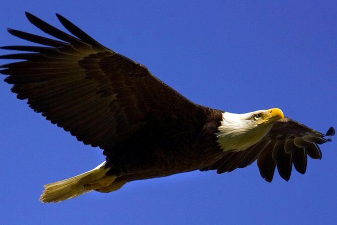 Teton Views Scenic Float Trip - The Itinerary in Detail