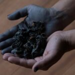 TEXTILES: Learn Indigo Dye from Kyoto - The Itinerary and What to Expect