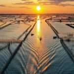 Thanh Toan Bridge - Chuon Lagoon and Seafood Dinner by Scooter - The Itinerary in Detail: A Closer Look at What You’ll Experience