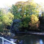 The 2 Hour BYOB Greenville City Cycling Tour - Who Would Love This Tour?