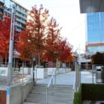 The 3 Hour Upstate Relocation and More Driving Tour - What Travelers Can Expect