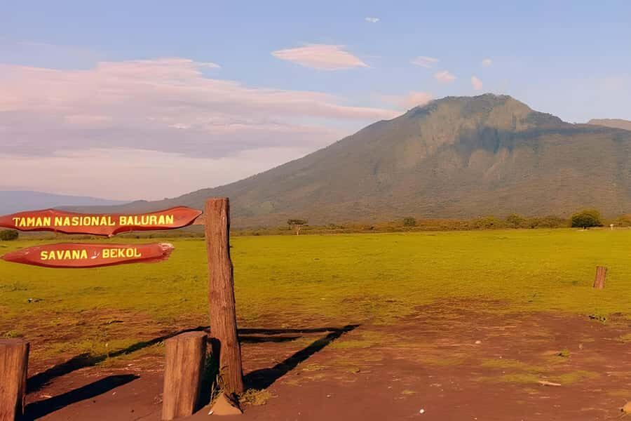 The Authentic Sunset Of Baluran National Park Banyuwangi - Overview of the Tour Experience