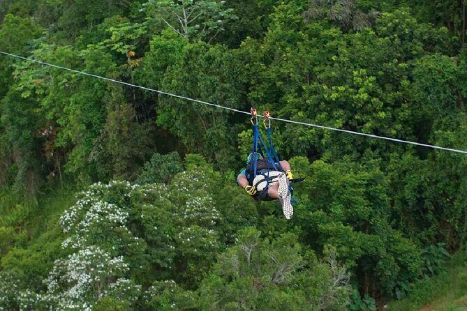 The Beast Zipline at Toroverde Adventure Park in Puerto Rico - The Experience in Detail