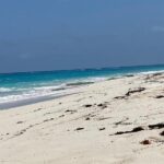 The Bermuda Elbow Beach Escape Day - The Itinerary in Detail