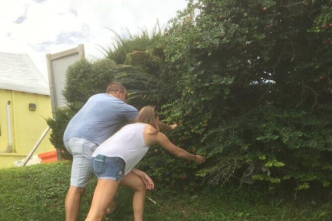 The Bermuda Tea and Tales Experience - The Sum Up