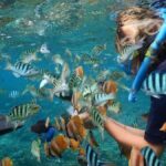 The Best Nusa Penida and Lembongan 1 Day Tour - The Experience from Reviews and Observations