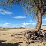 The best of Central Mongolia Guided 3 day Adventure - Transportation and Group Size