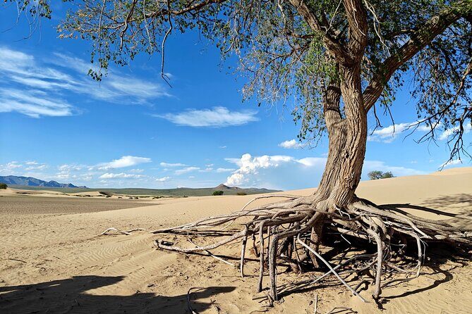 The best of Central Mongolia Guided 3 day Adventure - Transportation and Group Size