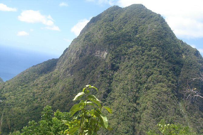 The Best of Saint Lucia Tour - Sulphur Springs: The Drive-In Volcano