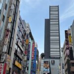 The best of Tokyo in one day  A cultural and spiritual tour - Who Will Appreciate This Tour?