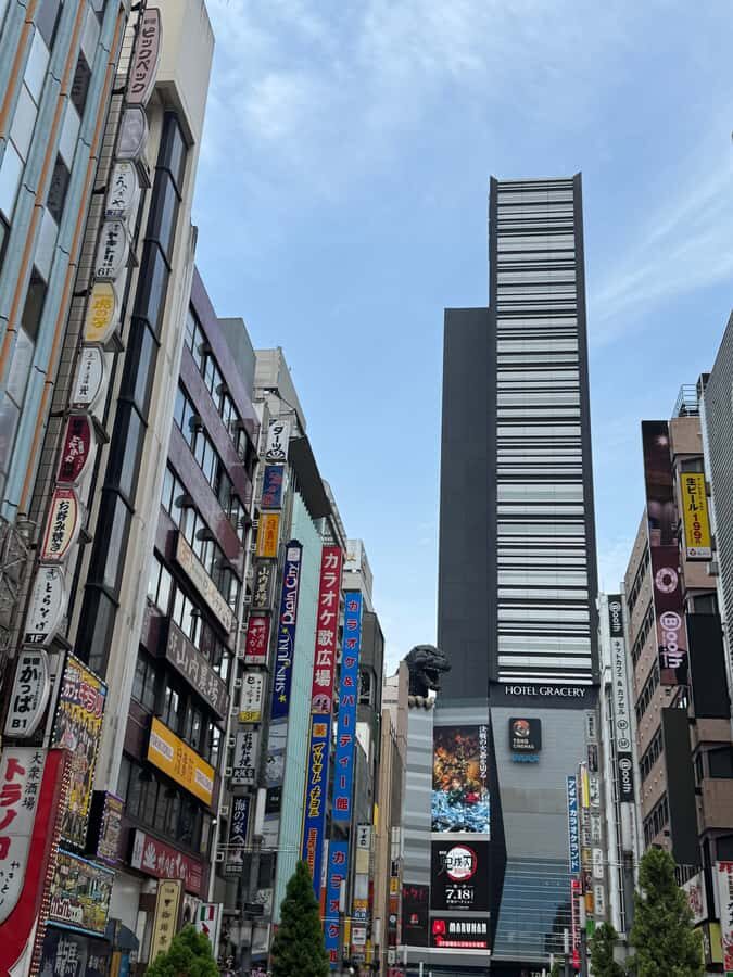 The best of Tokyo in one day  A cultural and spiritual tour - Who Will Appreciate This Tour?