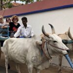 THE Classic of South Tamilnadu and Kerala - What This Tour Means for You