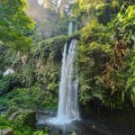 The Enchanting Sendang Gila and Tiu Kelep Waterfall - Who Should Consider This Tour?