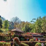 The essence of northern Thailand: Chiang Rai day trip - Exploring the Itinerary in Detail