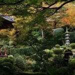 The Essence of Water in Japan 4 Days Charter Car Tour from Kyoto - Who Should Consider This Tour?