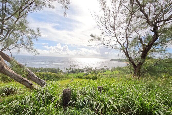 The Full Tour Lower East Coast Barbdos E-Bike Tour - Who Will Enjoy This Tour?