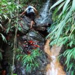 The Grand Circle 24-Hour All-Inclusive Island Experience - The Experience Guides and Their Impact