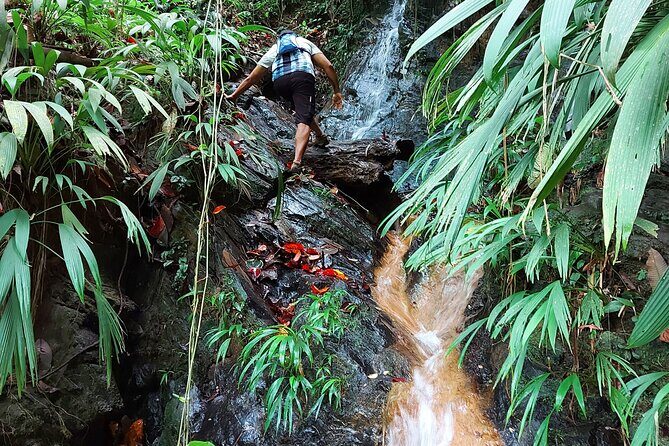 The Grand Circle 24-Hour All-Inclusive Island Experience - The Experience Guides and Their Impact