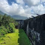 The Grand Tour of St. Kitts - Insights from Reviews
