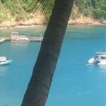 The Little Tobago Tour - Why This Tour Offers Great Value