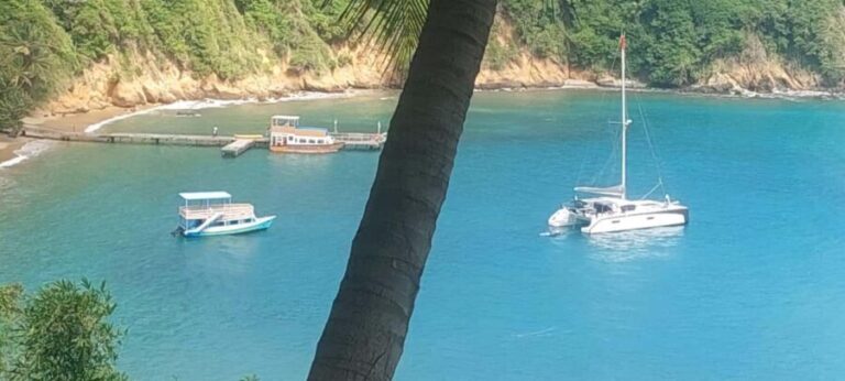 The Little Tobago Tour - Why This Tour Offers Great Value