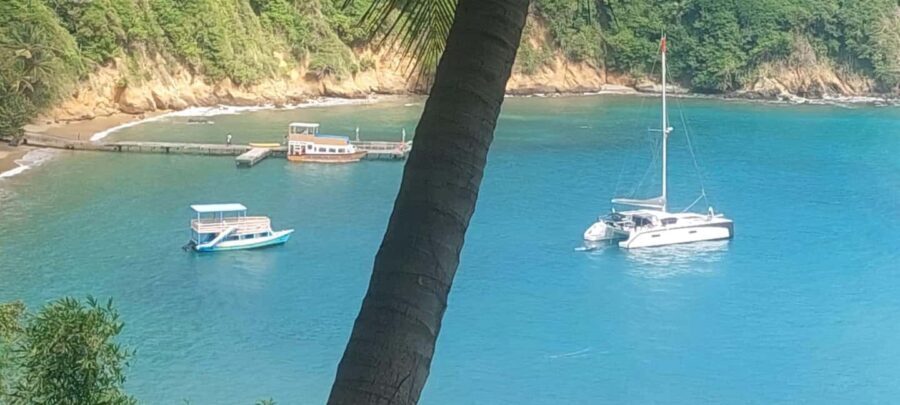 The Little Tobago Tour - Why This Tour Offers Great Value