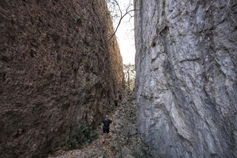 The M of Chipinque: Advanced Hiking with Panoramic Views of Monterrey - Analyzing the Value
