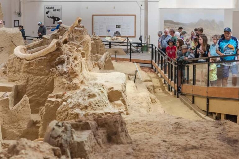 The Mammoth Site of Hot Springs General Admission Ticket - The Experience: What You Can Expect