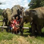 The Must-Do: Authentic Elephant & Village Life in Chiang Mai - Why This Tour Stands Out