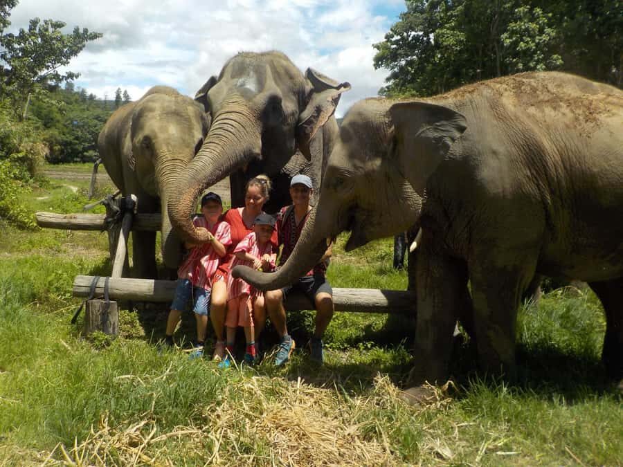 The Must-Do: Authentic Elephant & Village Life in Chiang Mai - Why This Tour Stands Out