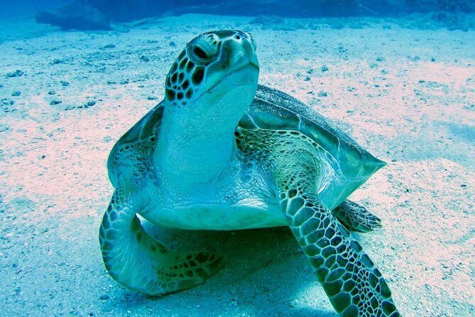 The Original Eco Tour Full-Day Around the Island of Sint Maarten - The Atmosphere and Crew